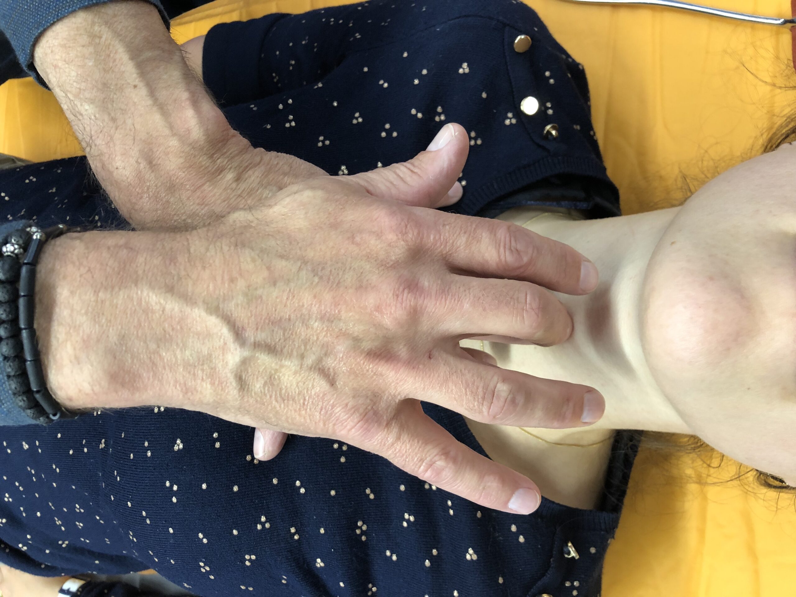 Roch J.B. & Piron A. les gestes de thérapie manuelle en rééducation de ...