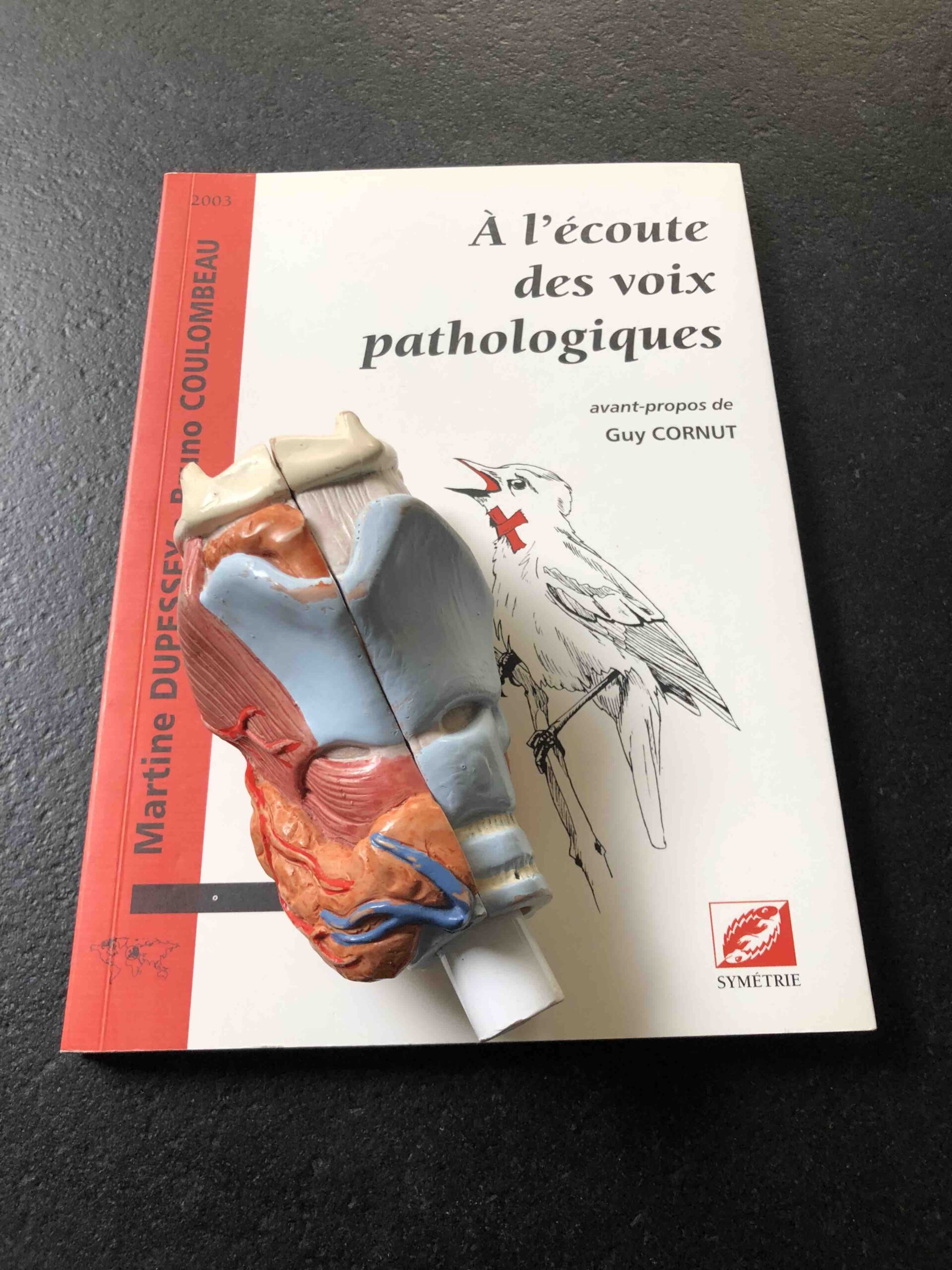 Martine Dupessey-Bruno Coulombeau : A l’écoute des voix pathologiques ...